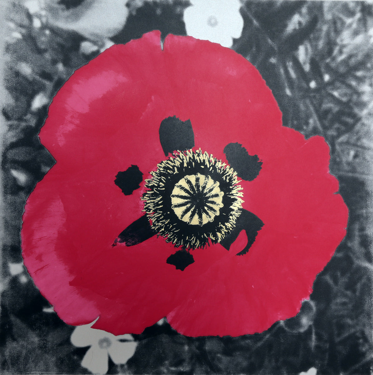 Poppy II – Anne Gournay